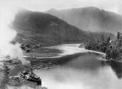 New Zealand, C1910. /Nthe Wanganui River In Pipiriki, New Zealand ...