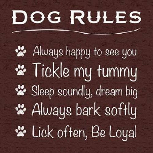 Dog Rules Poster Print by Lauren Gibbons - Item # VARPDXGLSQ128D ...