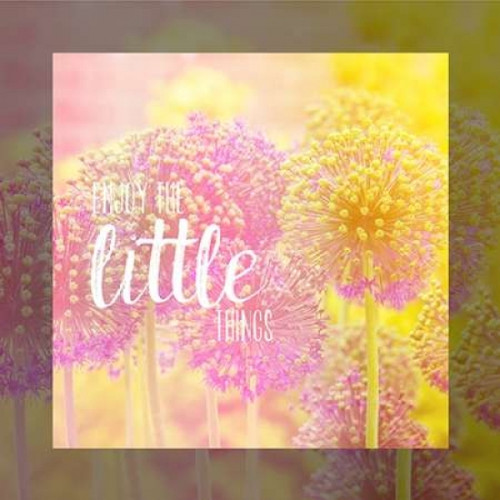Little Things Poster Print by Gigi Louise (24 x 24) - Item ...