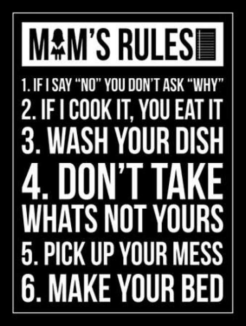 Mom Rules Iv Poster Print By Jace Grey Item Varpdxjg9rc012b2 Posterazzi