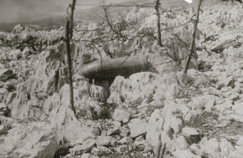 Austrian "dud" -- 305 shell Poster Print - Item # VARBLL058751426L ...