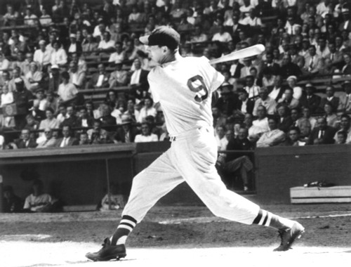 Ted Williams History - Item # VAREVCPBDTEWICS005 - Posterazzi