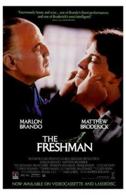 The Freshman Movie Poster (11 x 17) - Item # MOV210596 - Posterazzi