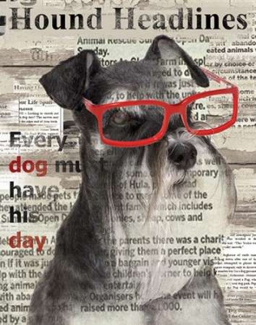 Hound Headline Poster Print by Carol Robinson (24 x 36) # 14916 - Posterazzi