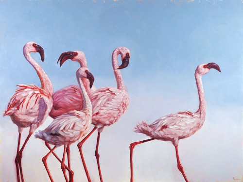 Pink Ladies Poster Print by Lucia Heffernan - Item # VARPDXH1459D ...