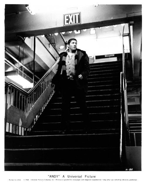 Andy Movie Poster (8 x 10) - Item # MOVCH8976 - Posterazzi