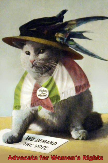 A cat as "an advocate for Women's right." Women's suffrage is the right ...