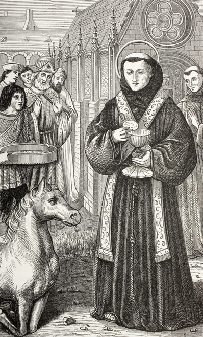 St. Anthony Of Padua, Anxious To Demonstrate The Truth Of The Holy ...