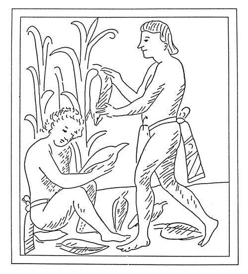 Aztec Farmers. /Naztec Farmers Harvesting The Corn Crop. Line Drawing ...