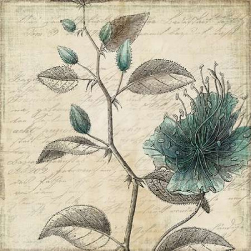 Blue Bird II Poster Print by PI Studio (12 x 12) - Item ...