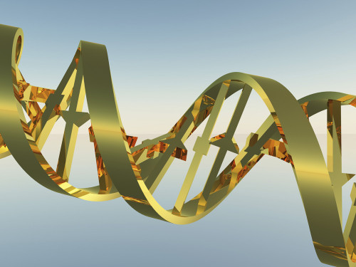 DNA Strand. 3D model Poster Print by Bruce Rolff/Stocktrek Images ...