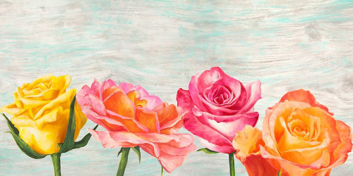 Funky Roses Poster Print by Thomlinson Jenny - Item # VARPDX2JT4922 ...