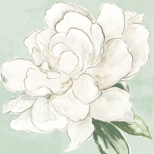 Garden Princess Poster Print by Asia Jensen - Item # VARPDXJN403A ...