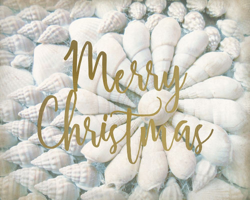 Merry Christmas Shells Poster Print by Allen Kimberly - Item ...