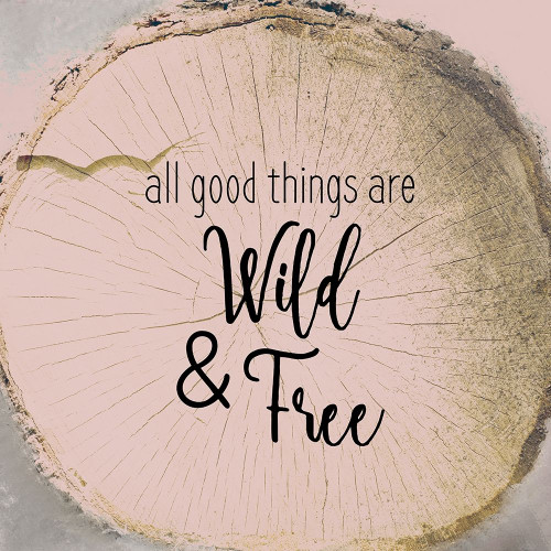 All Things 1 Poster Print by Allen Kimberly - Item # VARPDXKASQ935A ...