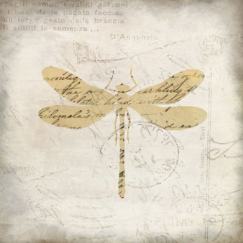 Dragonfly Letters 1 Poster Print by Allen Kimberly - Item ...