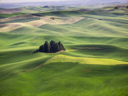 Aerial view of Palouse Region Poster Print by Terry Eggers - Item ...