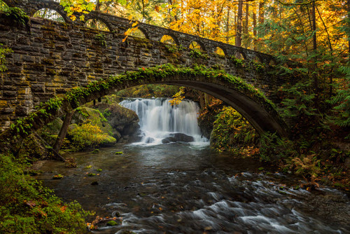 USA, Washington State, Whatcom Falls Park Fall foliage at Whatcom Falls ...