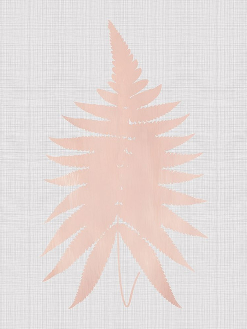 Fern Blush Poster Poster Print by Urban Road Urban Road # URP69 ...
