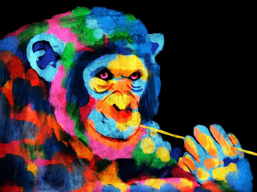 Monkey Color Burst 1 Poster Print by Marcus Prime # MPRC645A - Posterazzi