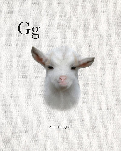 G is for Goat Poster Print by Leah Straatsma # LSRC047G - Posterazzi