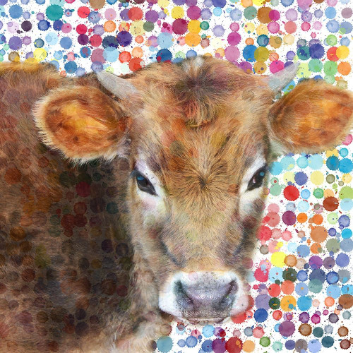 Colors Of Moo Poster Print by Jamie Phillip # JS16A - Posterazzi