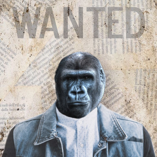 Wanted Poster Print by Jamie Phillip # JS381A - Posterazzi