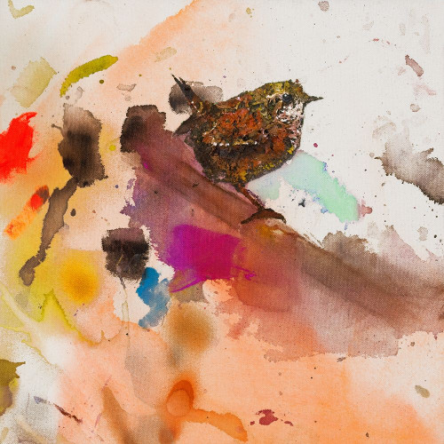 Wood Thrush Poster Print by Daniel St Amant # IE044A - Posterazzi