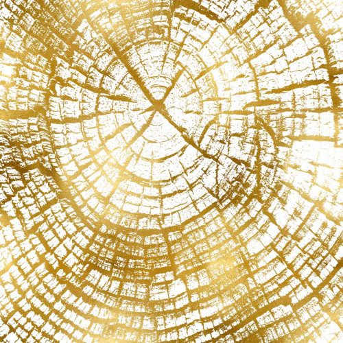Chopped Gold II Poster Print by Danielle Carson # DLC114094 - Posterazzi