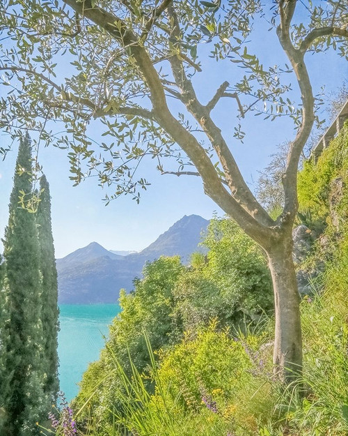 Lago di Como View No. 2 by Brooke T. Ryan (18 x 24) - Posterazzi