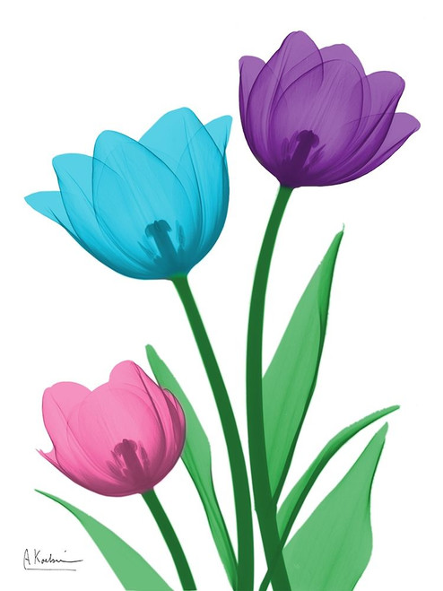 Shiny Tulips 1 by Albert Koetsier (18 x 24) - Posterazzi
