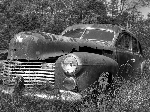 Rust Bucket by Lori Deiter (24 x 18) - Posterazzi