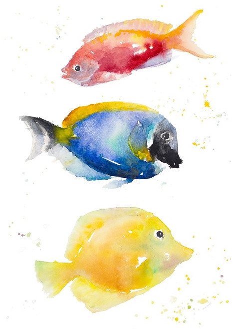 Tropical Fish III by Lanie Loreth (18 x 24) - Posterazzi