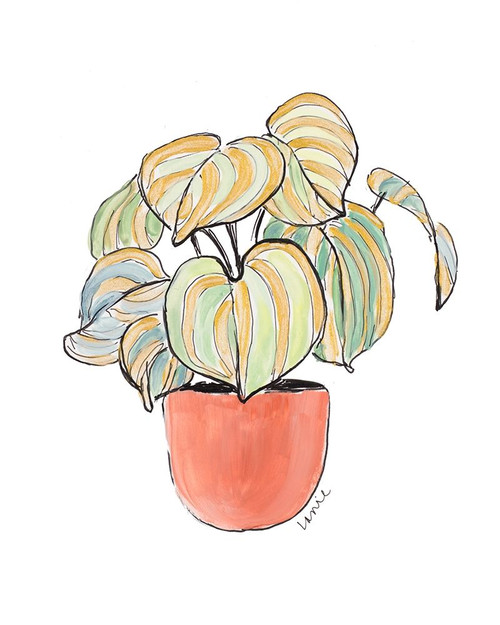 Striped Pathos in Terra Cotta Pot by Lanie Loreth (18 x 24) - Posterazzi