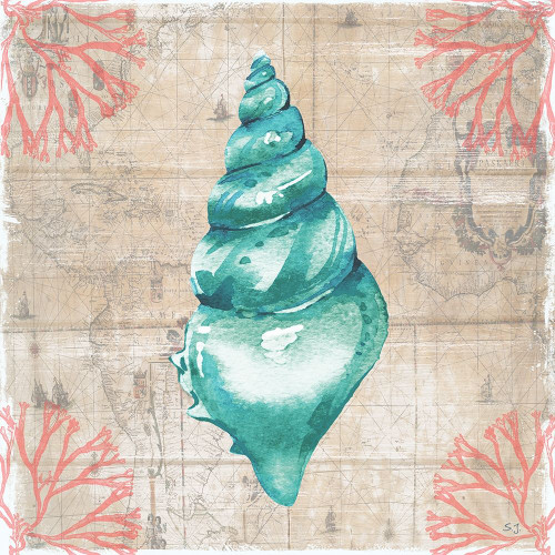 Coral Cove II by Susan Jill (24 x 24) - Posterazzi