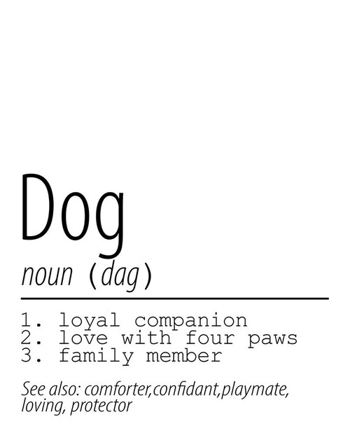 Dog Noun by Kimberly Allen (18 x 24) - Posterazzi