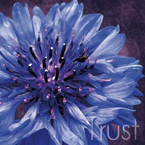 Trust Flower Poster Print by Lauren Gibbons (12 x 12) - Posterazzi