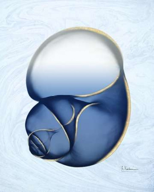 Marble Indigo Snail 1 Poster Print by Albert Koetsier (8 x 10) - Posterazzi