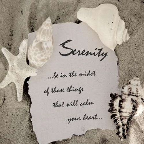 Shell Group 1 Poster Print by Taylor Greene (12 x 12) - Posterazzi