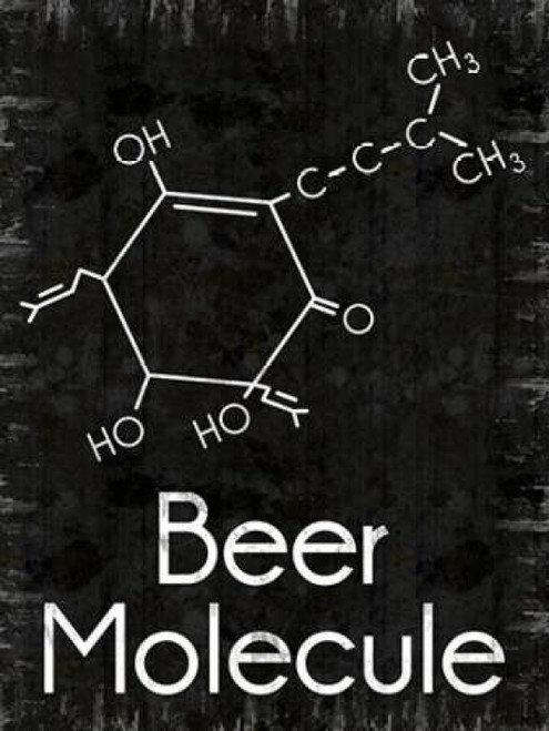 Beer Molecule 2 Rect Poster Print by Lauren Gibbons (9 x 12) - Posterazzi