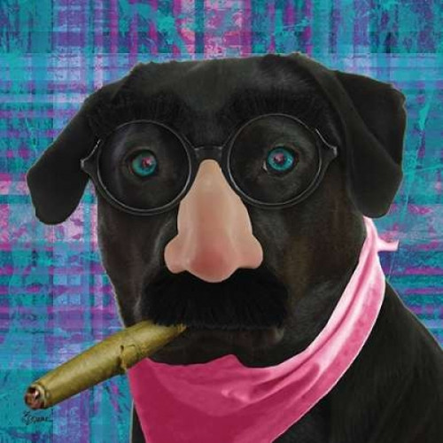 Groucho Poster Print by Diane Stimson (12 x 12) - Posterazzi