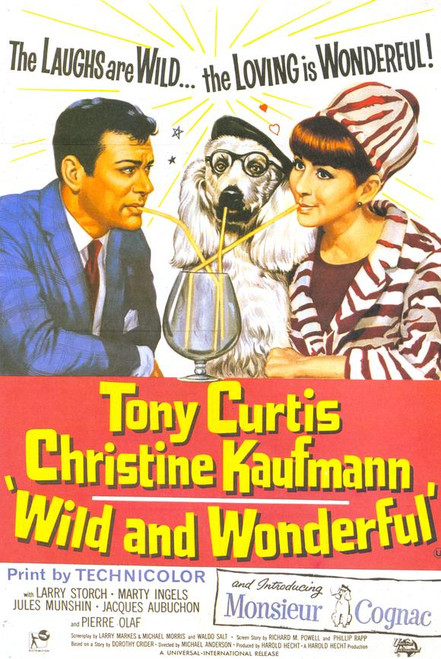 Wild and Wonderful Movie Poster Print (11 x 17) - Item # MOVCG7049 ...