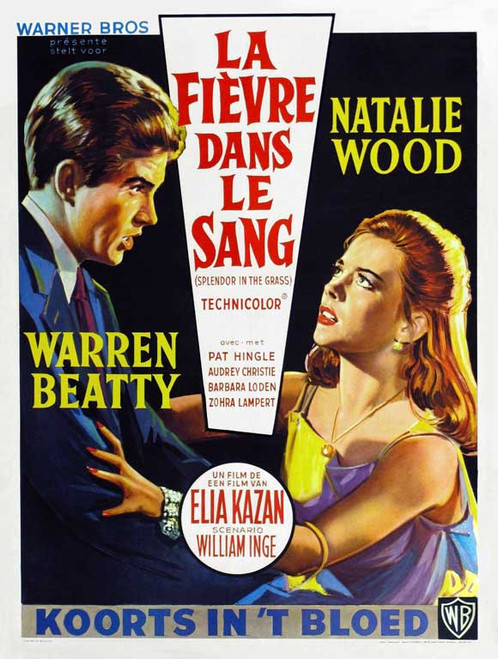 Splendor in the Grass Movie Poster Print (27 x 40) - Item # MOVCB42010 ...