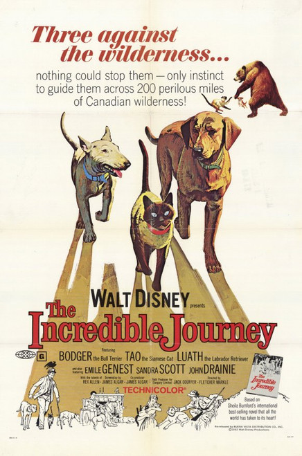 The Incredible Journey Movie Poster Print (11 x 17) - Item # MOVIE7977 ...