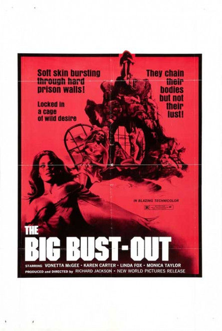 The Big Bust Out Movie Poster Print (11 x 17) - Item # MOVEB65383 ...
