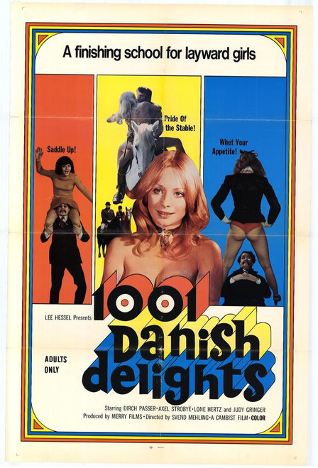 1001 Danish Delights Movie Poster Print (27 x 40) - Item # MOVCG7805 - Posterazzi