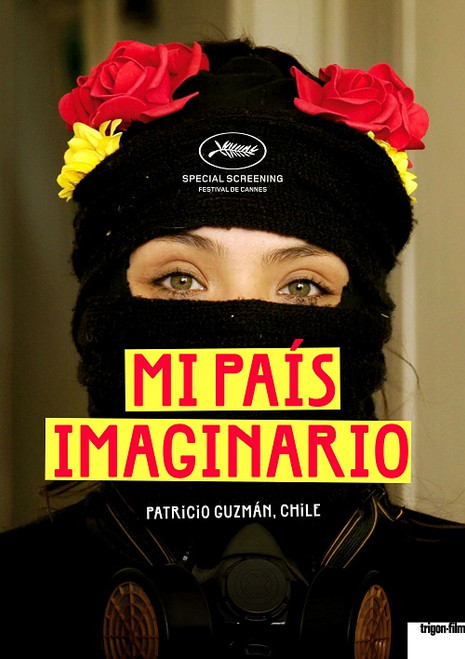 My Imaginary Country Movie Poster Print (27 x 40) - Item # MOVGB65365 ...