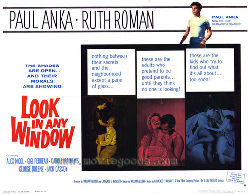 Open Windows Movie Poster