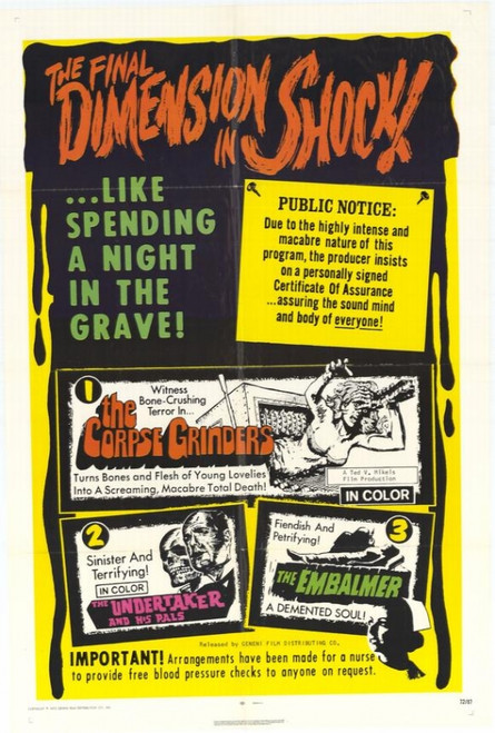 The Final Dimension in Shock Movie Poster Print (27 x 40) - Item ...