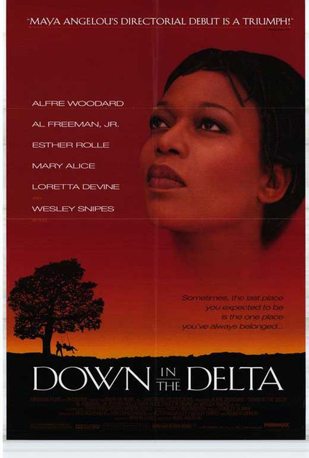 Down in the Delta Movie Poster Print (11 x 17) - Item # MOVCE9316 ...